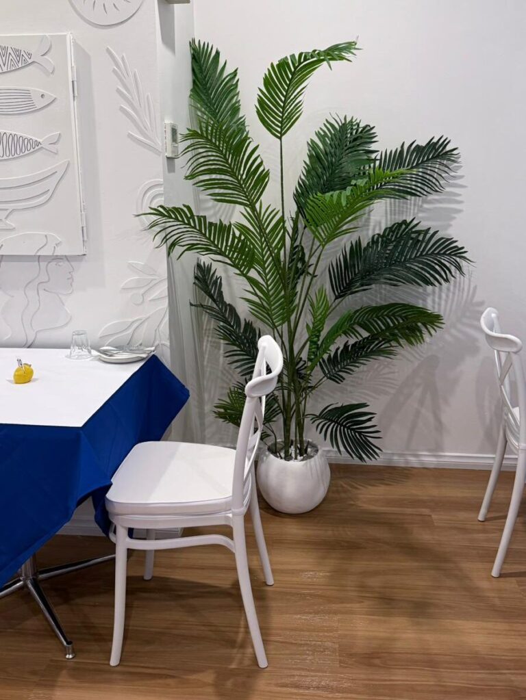 Agora Greek Cuisine