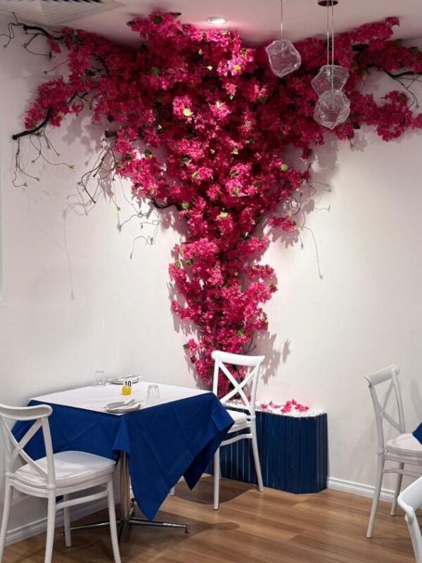 Agora Greek Cuisine