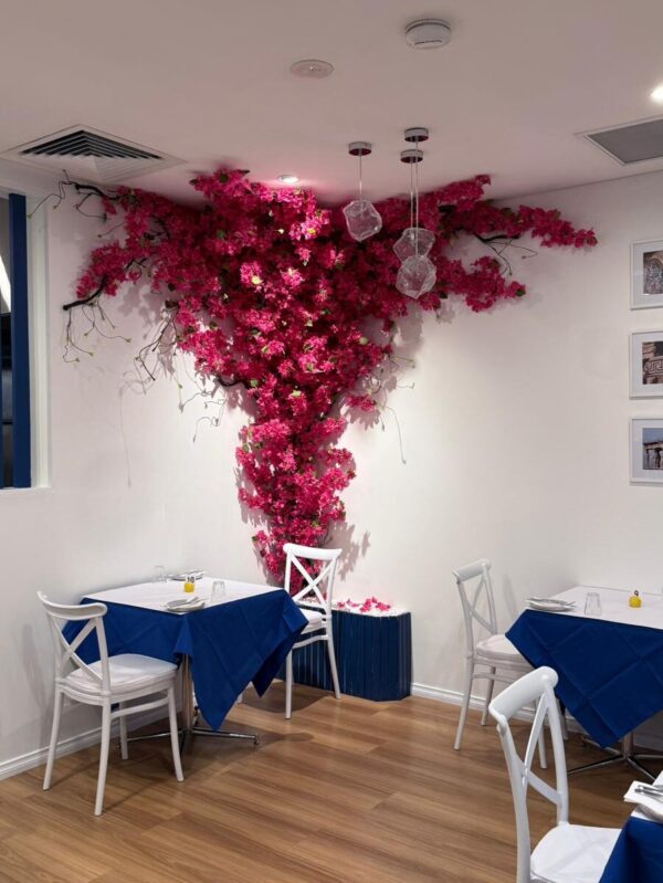 Agora Greek Cuisine